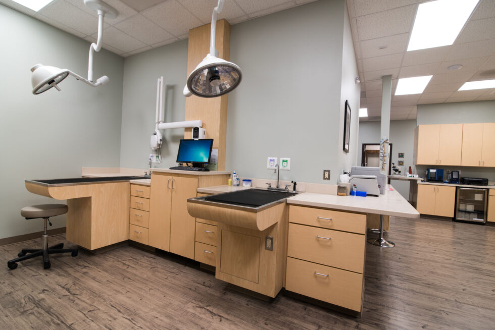 About Staples Mill Animal Hospital | Vet In Woodbridge, VA