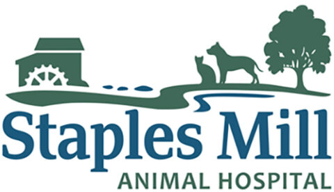 Best Vet Hospital In Woodbridge, VA | Staples Mill Animal