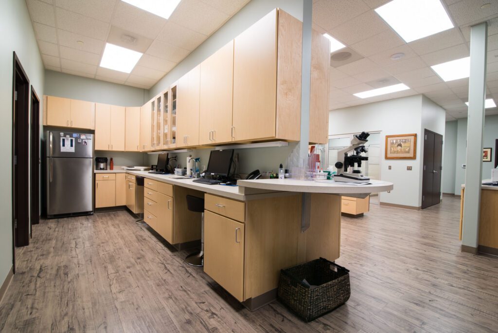 Pet Laboratory Testing In Woodbridge, VA | Staples Mill AH